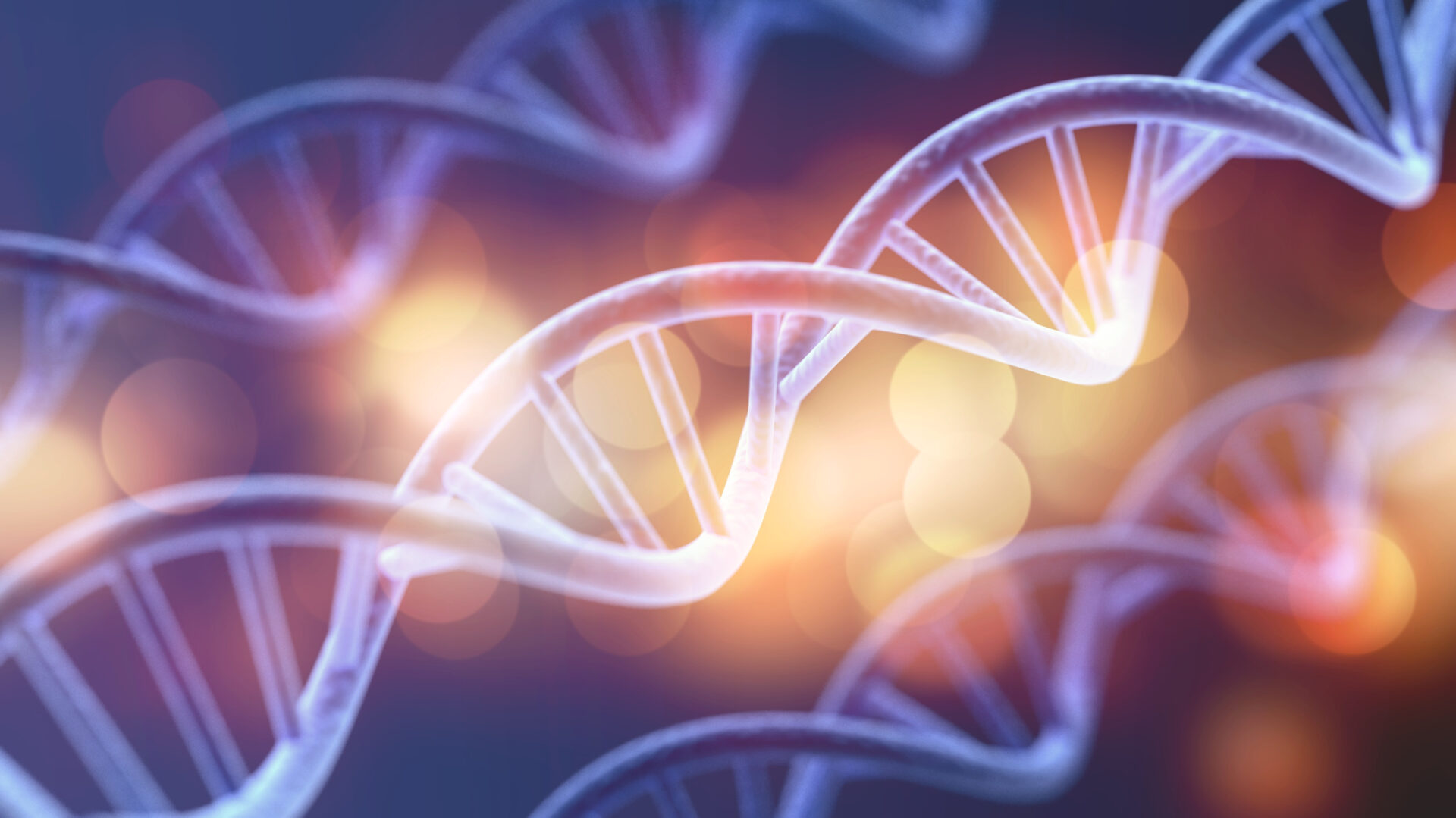 Learn the Basics of Genetics to Understand the Future of Gene Therapy ...